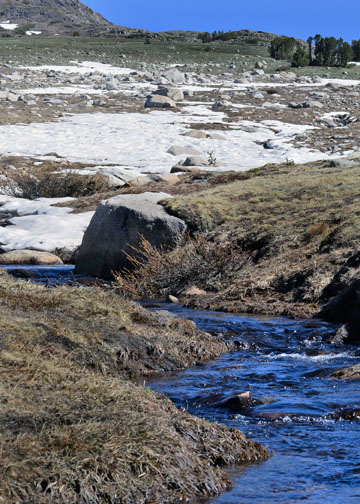 A Realization of Why – Hiking Yosemite and Beyond