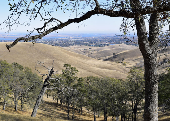 Rolling Hills – Hiking Yosemite and Beyond